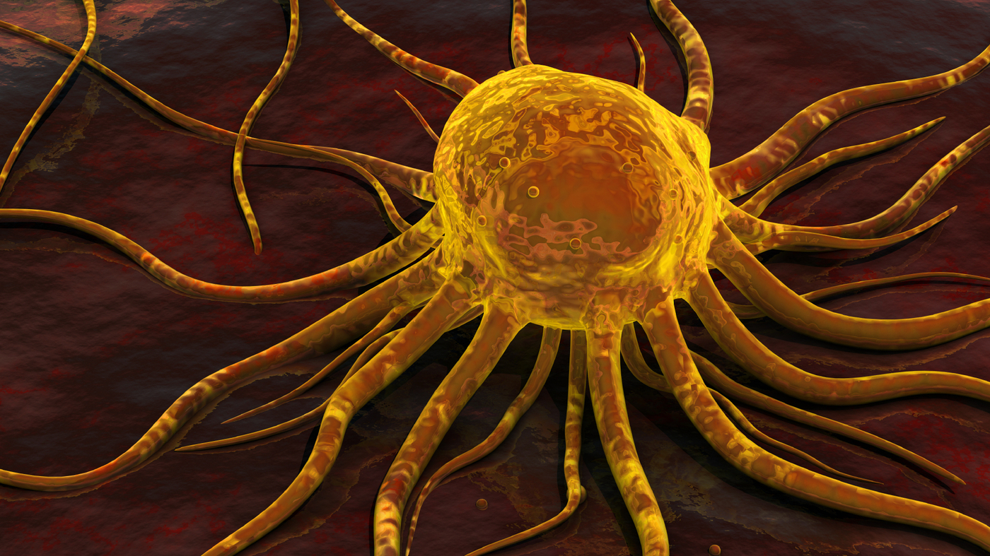 Book Review: 'The Cancer Chronicles,' By George Johnson : NPR