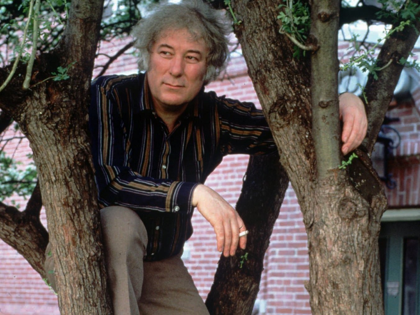 Heaney's Poems — Great, Dangerous, Healing — Live On | NCPR News
