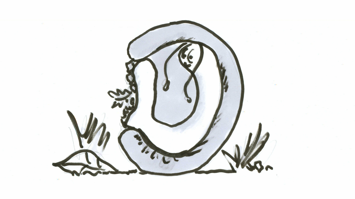 How To Build Little Doors Inside Your Shell: The Secrets of Snail ...