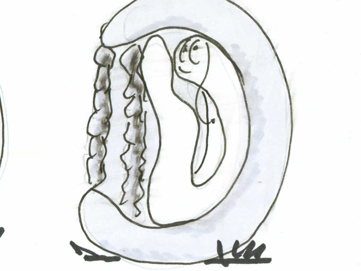 How To Build Little Doors Inside Your Shell: The Secrets of Snail ...