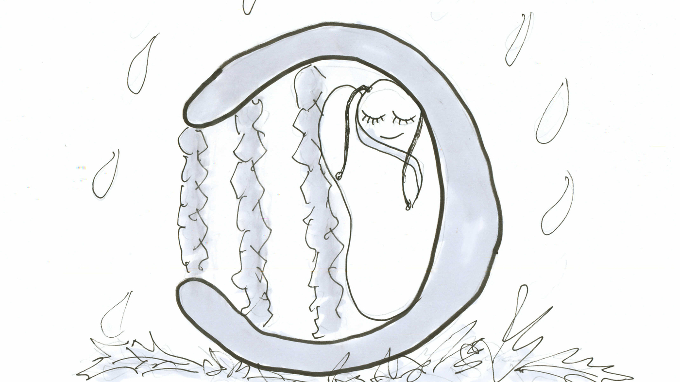 How To Build Little Doors Inside Your Shell: The Secrets of Snail ...