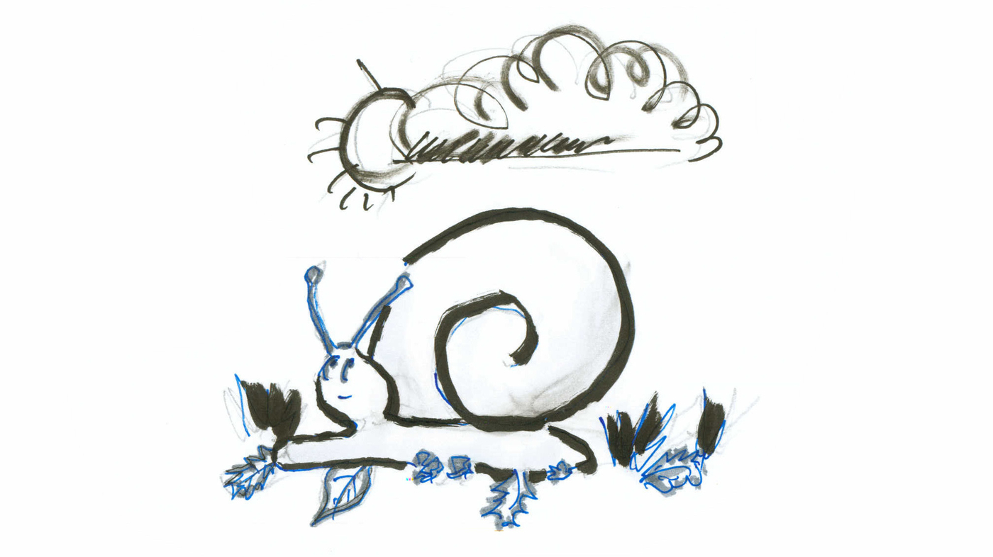 How To Build Little Doors Inside Your Shell: The Secrets of Snail ...