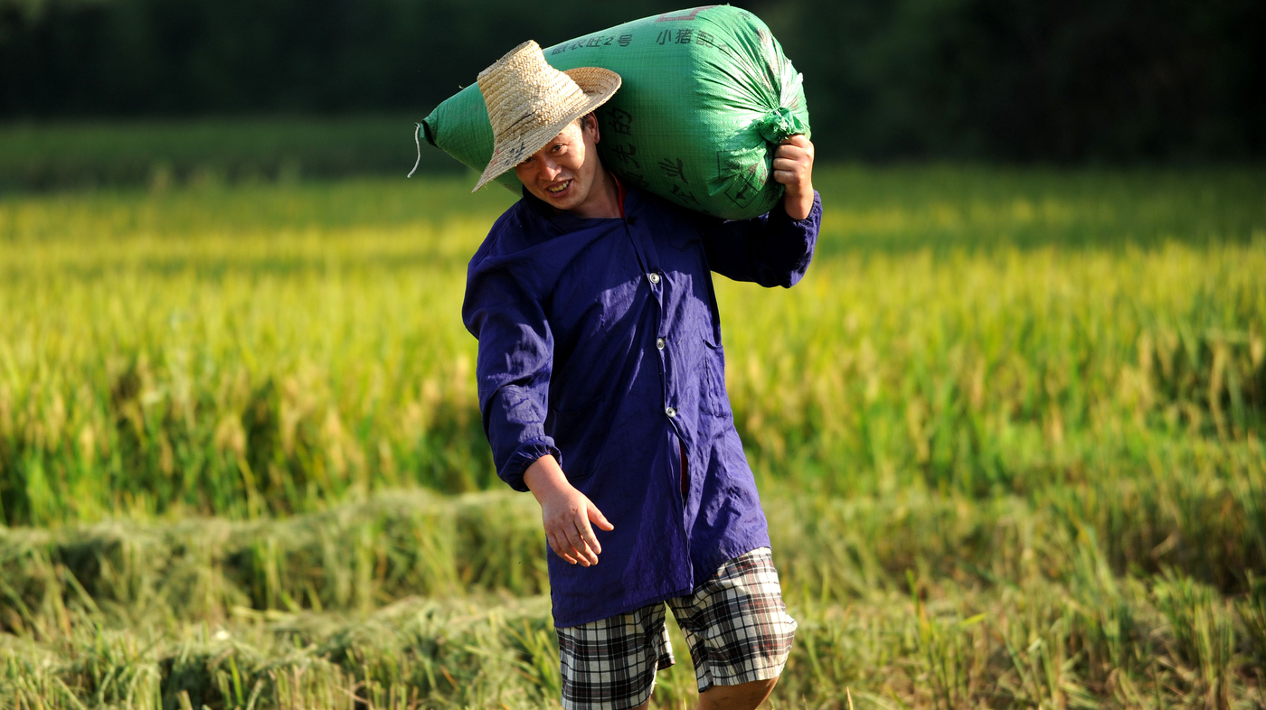 Wasted Food Around The World Takes Heavy Toll On Environment : The Salt ...