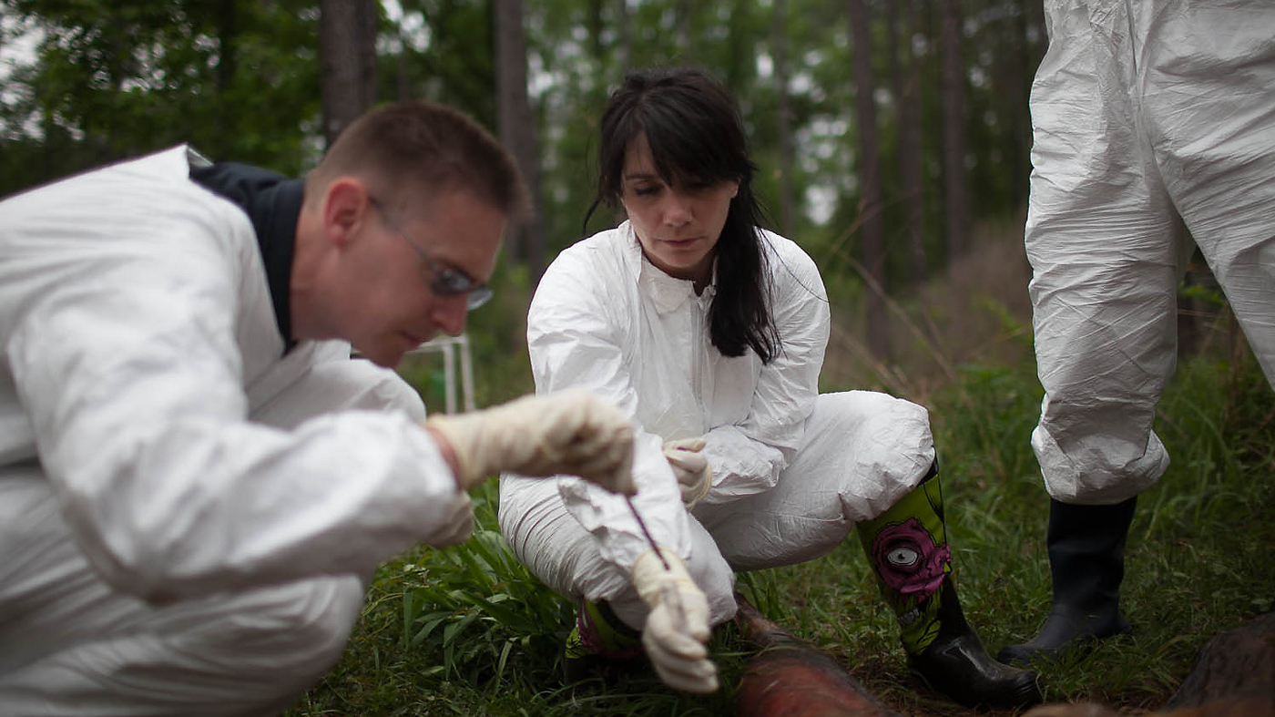 Could Detectives Use Microbes To Solve Murders? : Shots - Health News : NPR