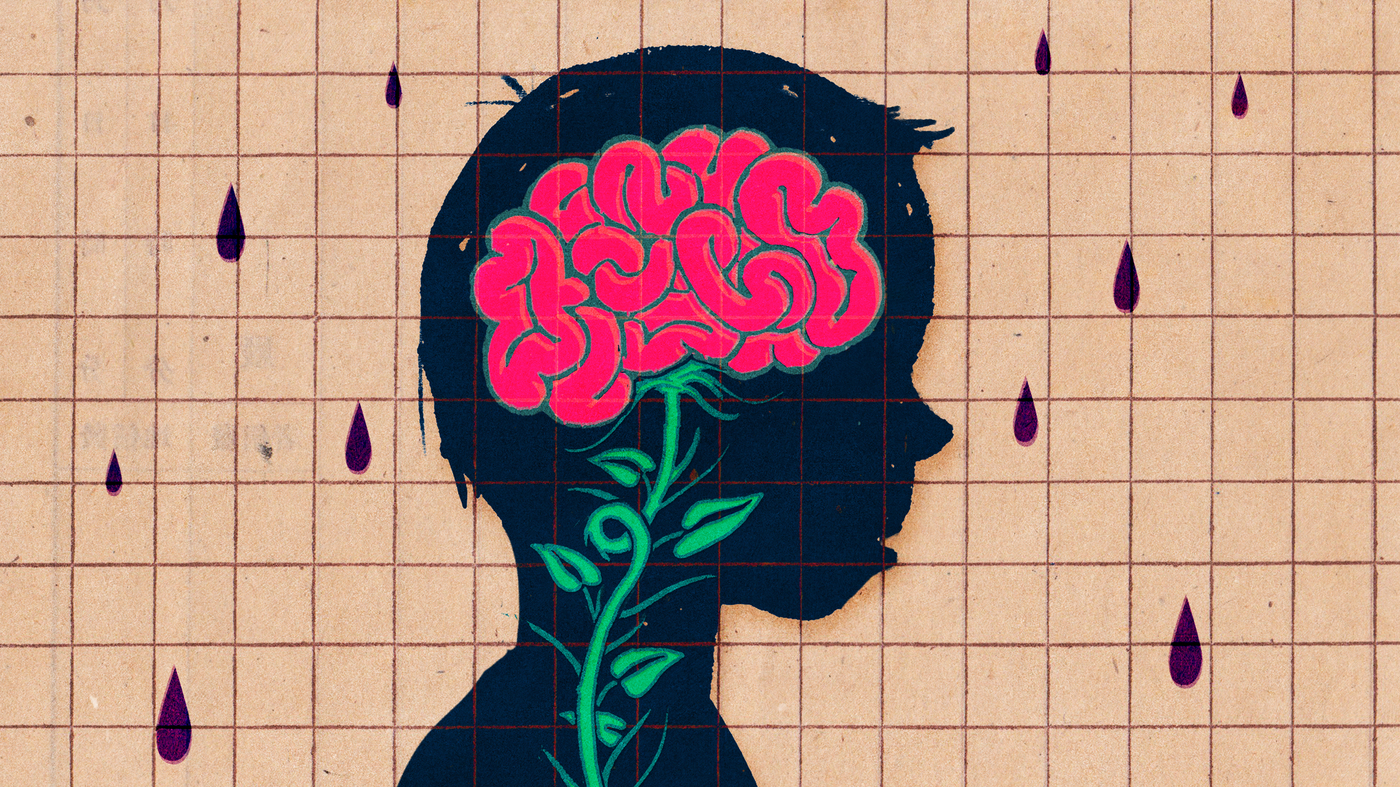 Smart Teenage Brains May Get Some Extra Learning Time : Shots - Health ...