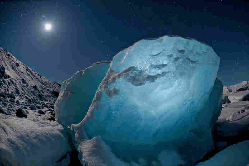 'National Geographic' Celebrates 125 Years Of Photography : The Picture ...