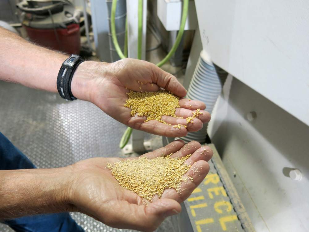Can Millet Take On Quinoa? First, It'll Need A Makeover : The Salt : NPR