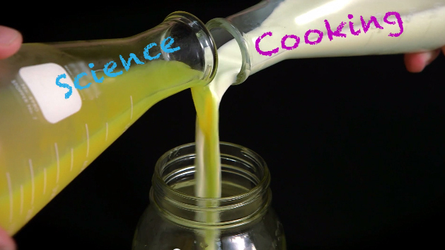 Now You Can Go To Harvard And Learn Cooking Science From Top Chefs ...