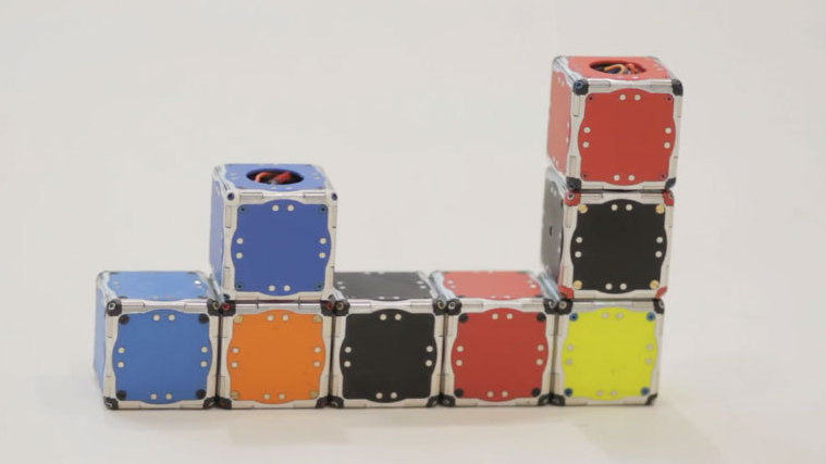 Watch Daniela. She's Up To Something Big : Krulwich Wonders... : NPR