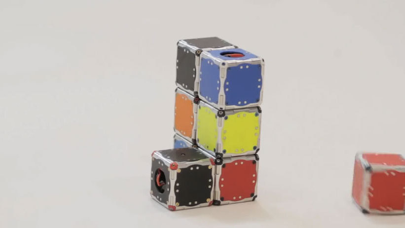 Watch Daniela. She's Up To Something Big : Krulwich Wonders... : NPR