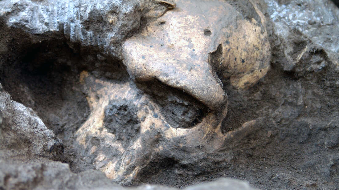 Giant Skeletons Found In Wisconsin