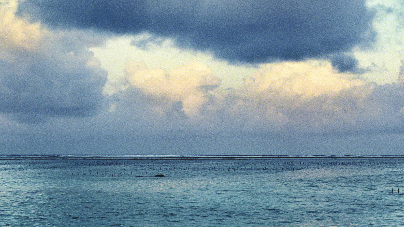 Book Review: 'Adé: A Love Story,' By Rebecca Walker : NPR