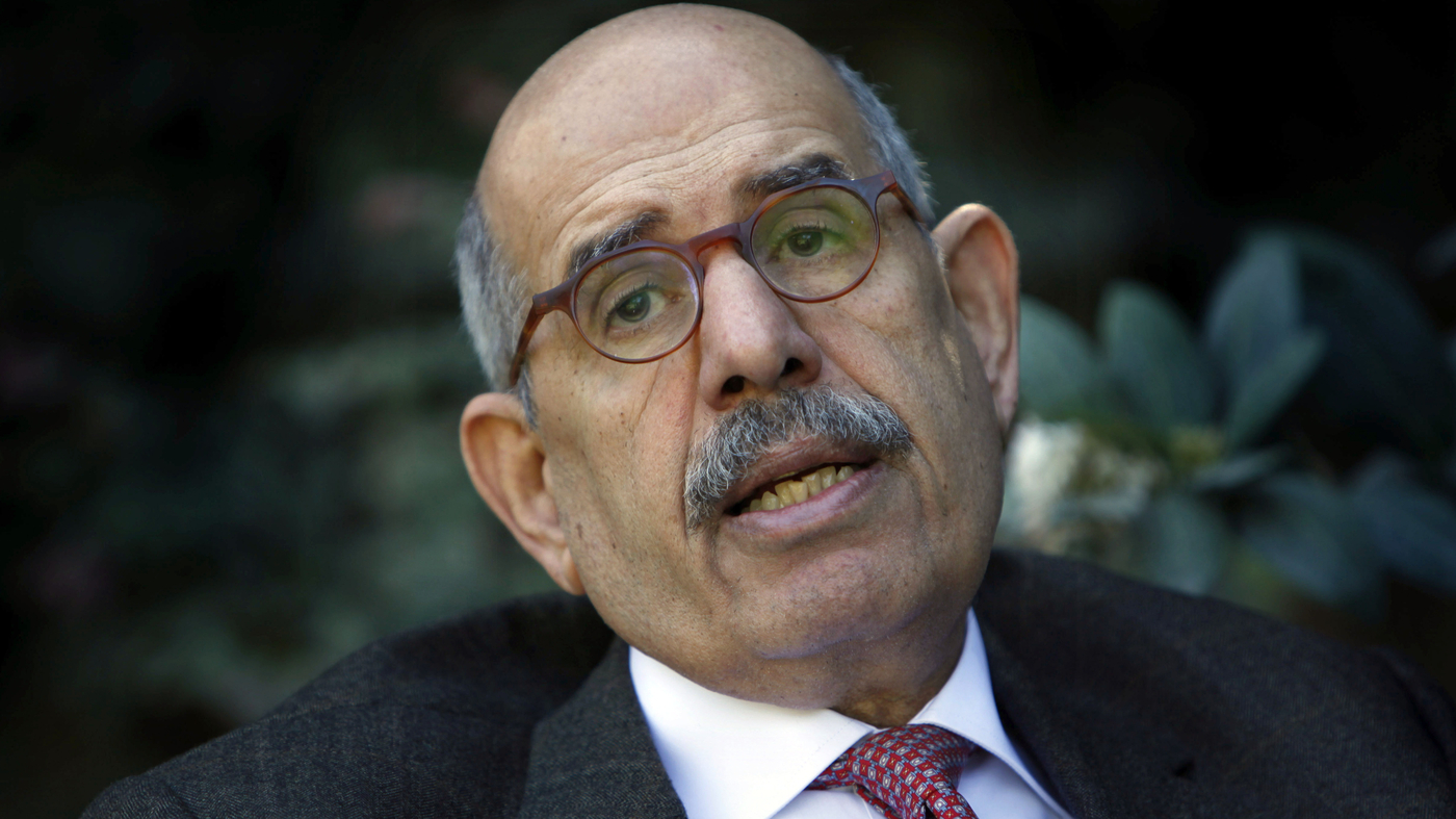 Egyptian Court Dismisses Breach Of Trust Lawsuit Against ElBaradei ...