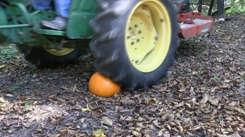 If Pumpkin Destruction Offends You, DO NOT WATCH THIS VIDEO : The Two ...