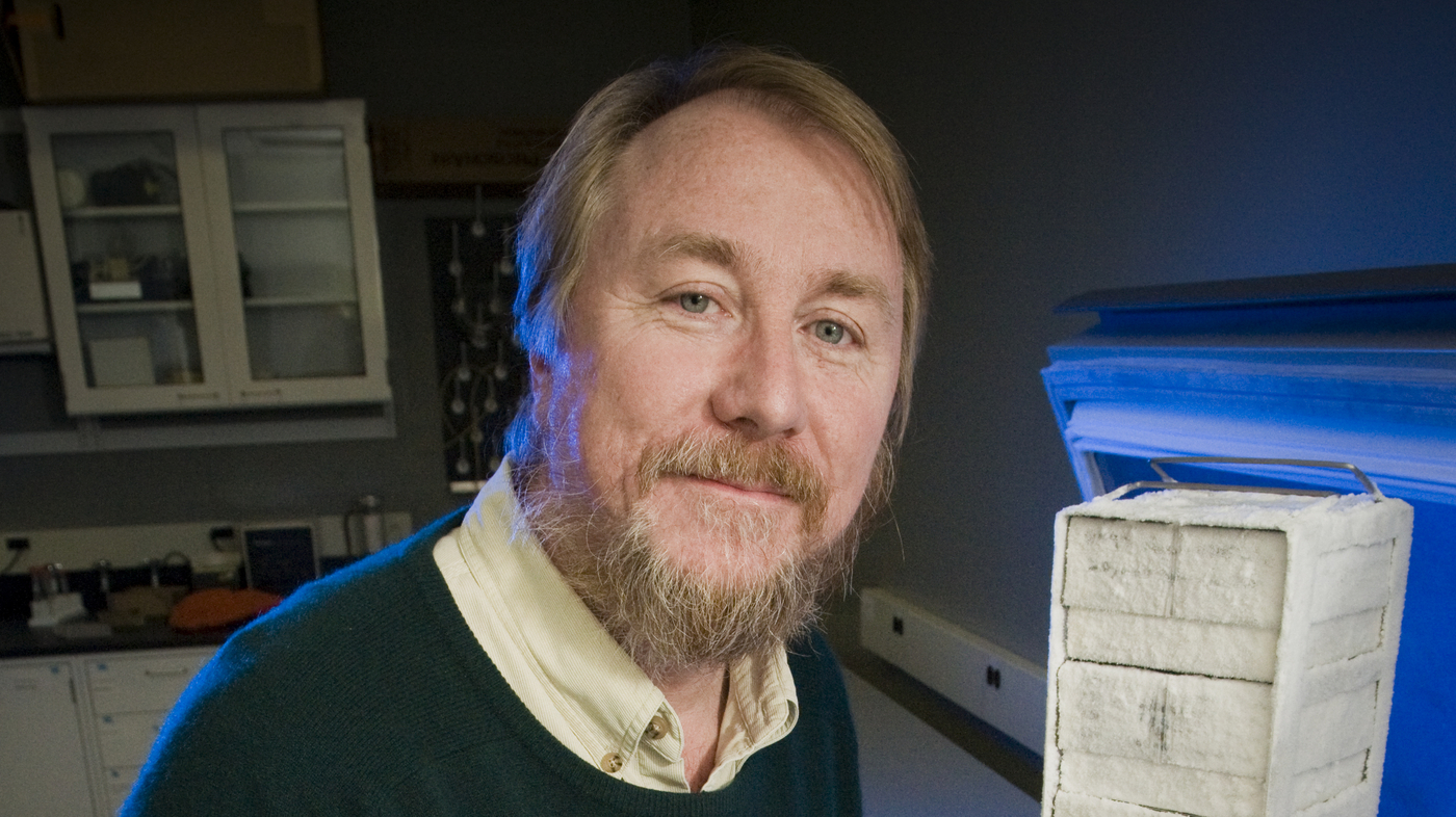 Bacterial Competition In Lab Shows Evolution Never Stops : Shots ...