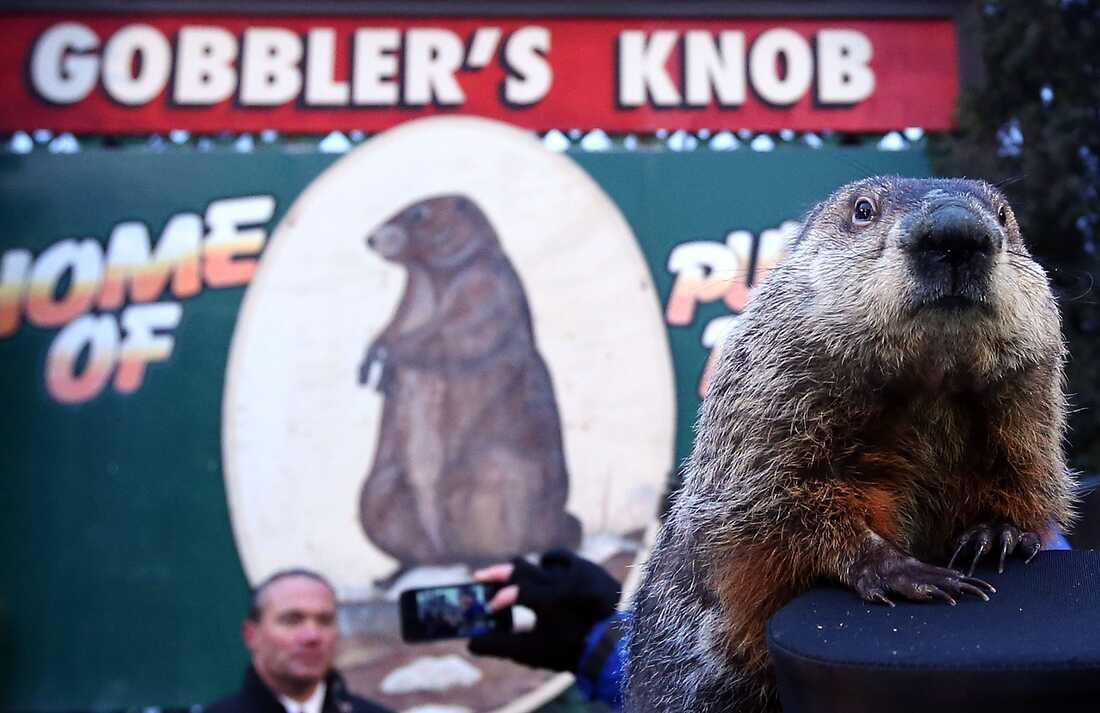 Texas Barbecue And Radio Deja Vu All Over Again : NPR Public Editor : NPR