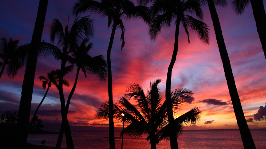 Could Hawaii Become A Same Sex Wedding Destination Npr