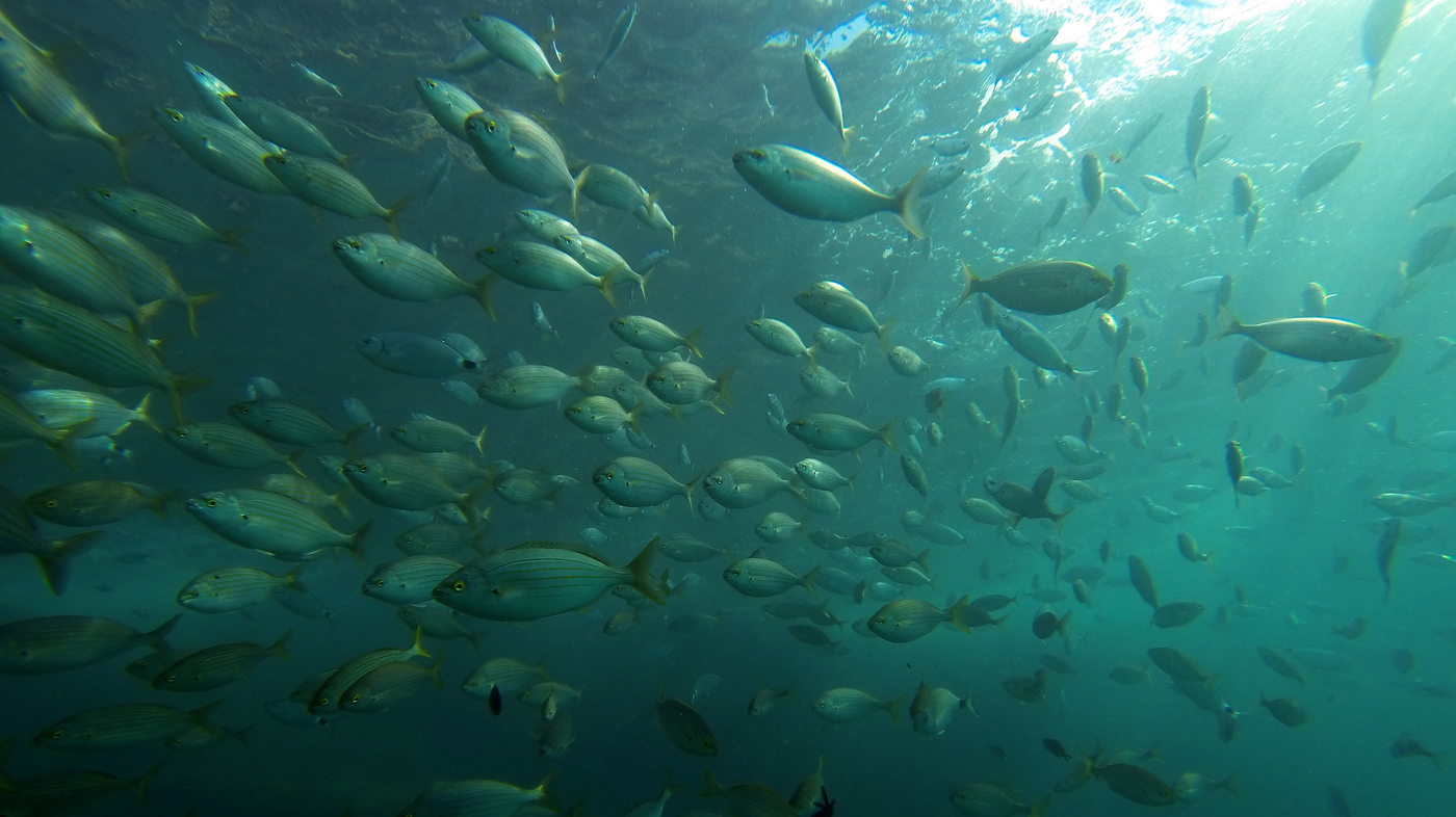 Scientists Map Vast Reserves Of Freshwater Under The Seabed : The Two ...