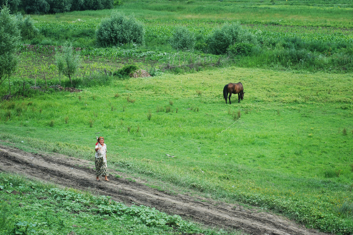 Romanian Project Reunites Abandoned Children With Families : NPR