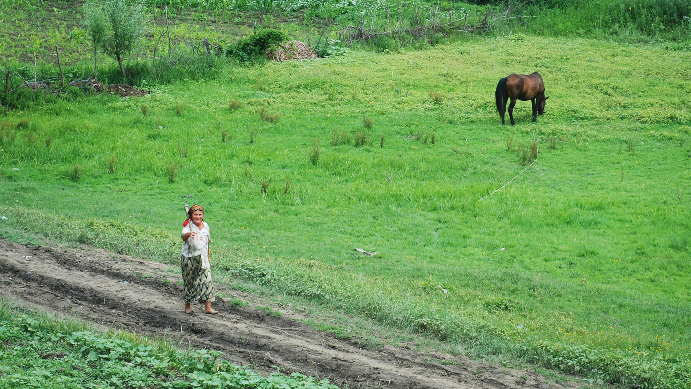 Romanian Project Reunites Abandoned Children With Families : NPR