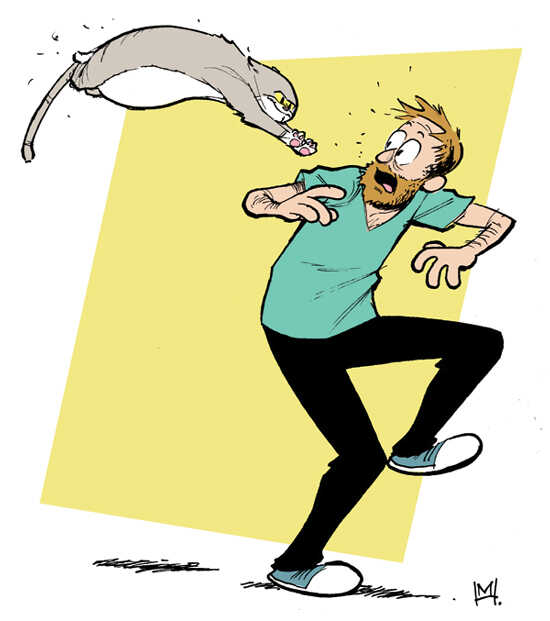 Cat Drawing Guy