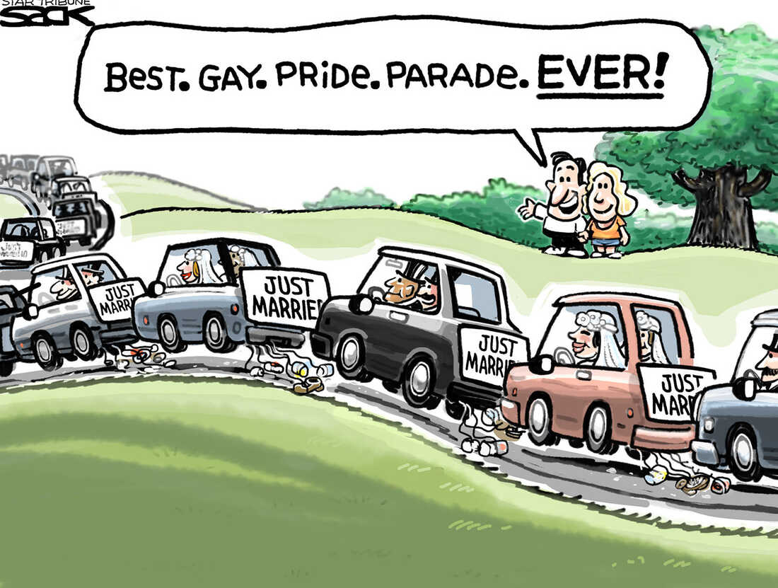 Double Take 'Toons: June 2013 : NPR