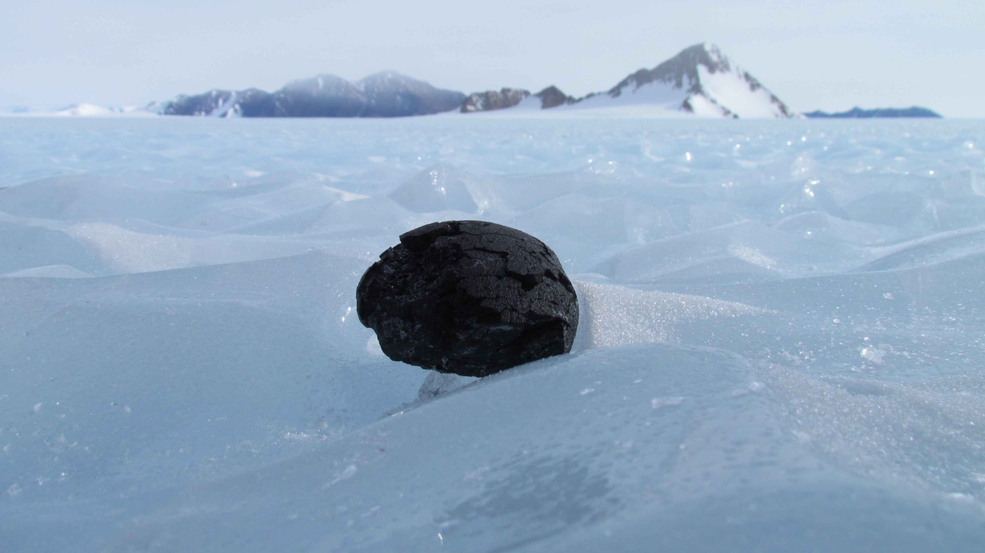 The Hunt For Meteorites Begins In Antarctica : NPR