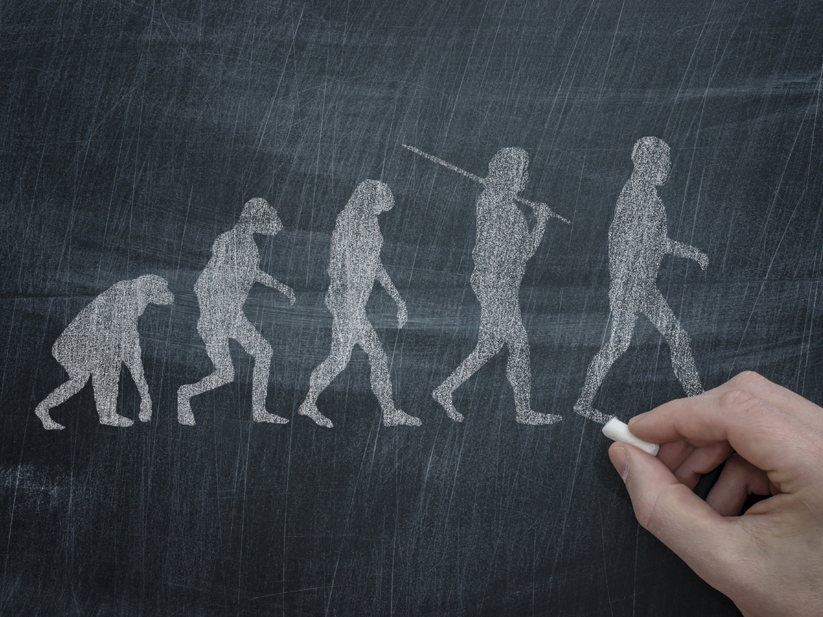 On Evolution, A Widening Political Gap, Pew Says : The Two-Way : NPR