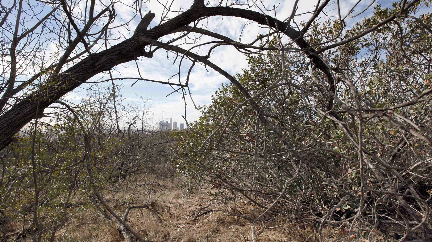 No Relief Forecast After One Of California's Driest Years Ever : NPR