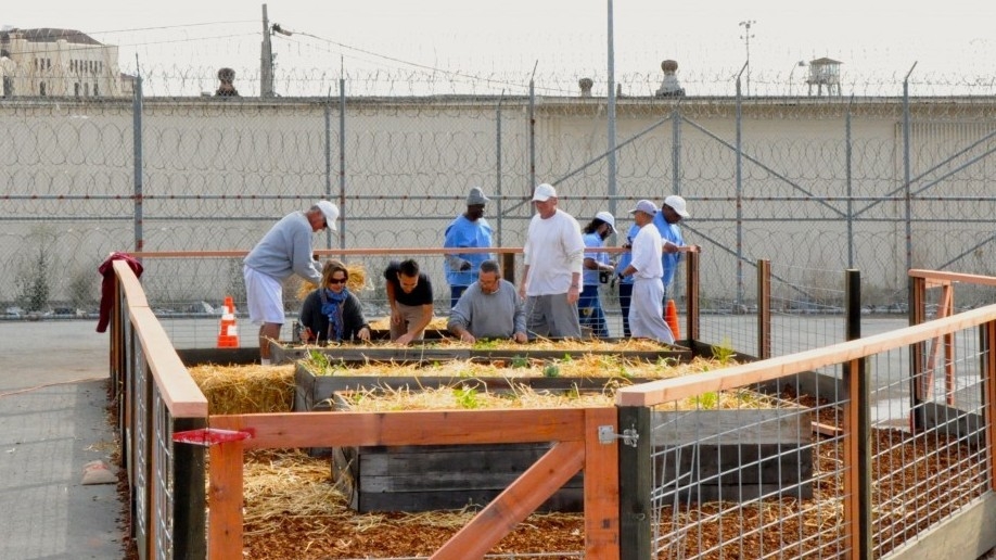 Prison Gardens Help Inmates Grow Their Own Food — And Skills : The Salt ...