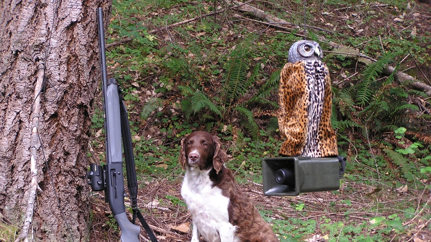 To Save Threatened Owl, Another Species Is Shot : NPR