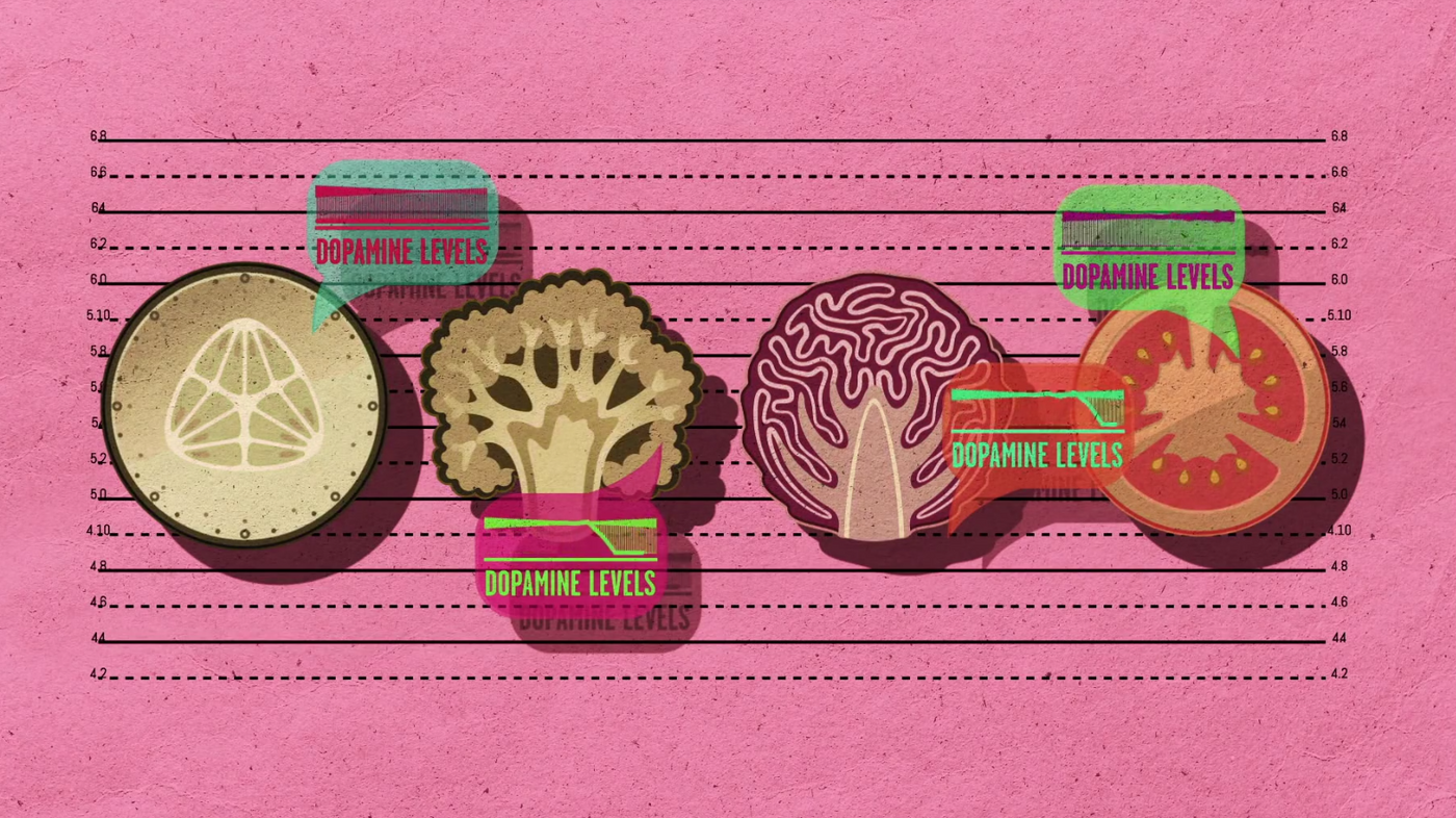 Why Sugar Makes Us Feel So Good : The Salt : NPR