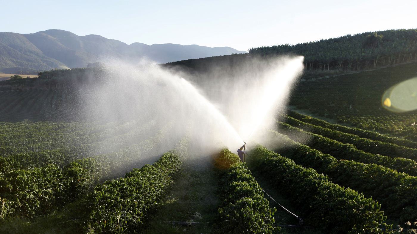 Drought Could Drain More Than Brazil's Coffee Crop : NPR