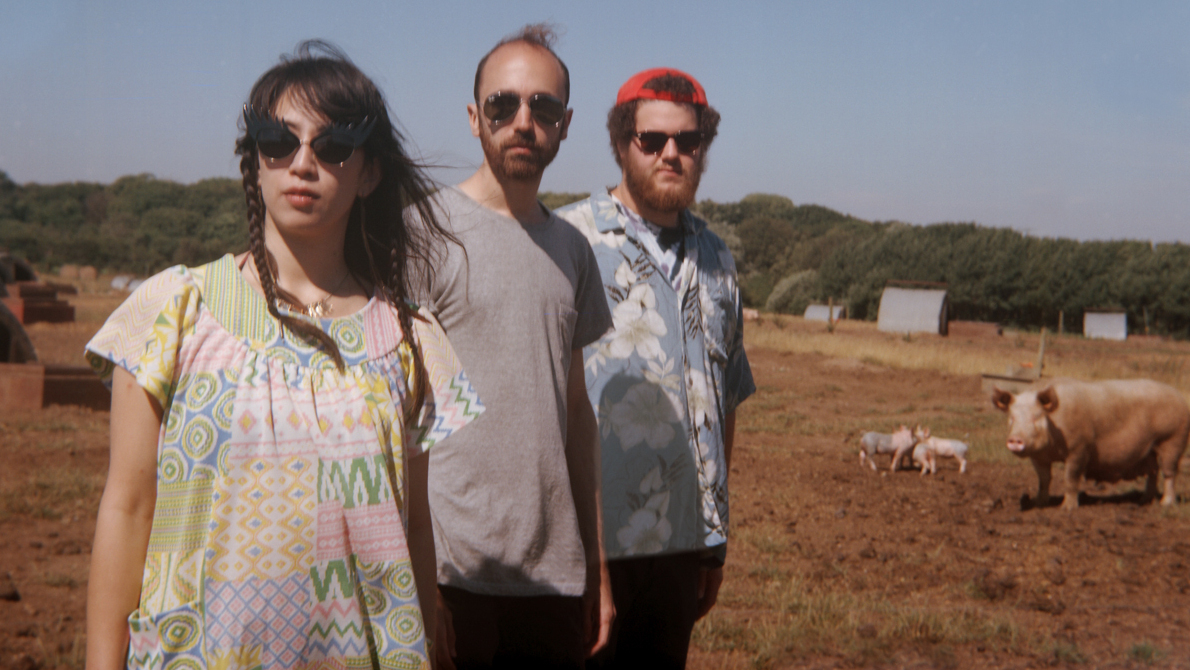 Yuck On World Cafe : World Cafe : NPR