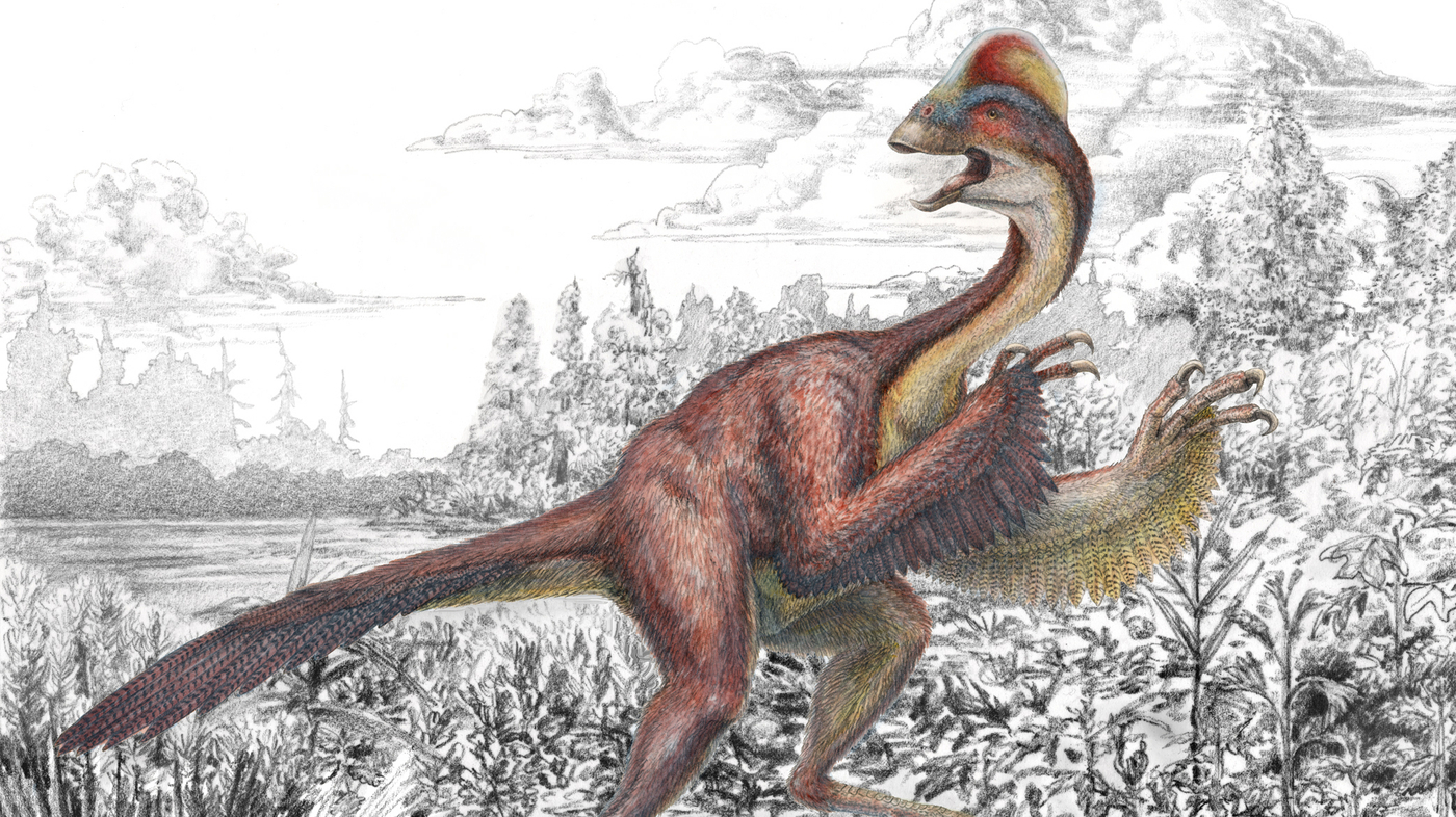 The 500-Pound 'Chicken From Hell' Likely Ate Whatever It Wanted : NPR