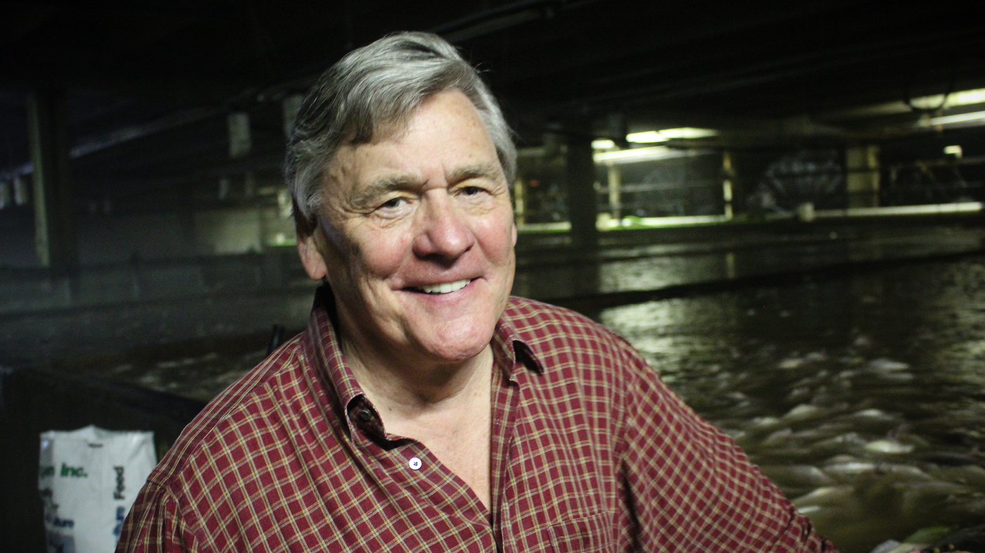 The Future Of Clean, Green Fish Farming Could Be Indoor Factories : The ...