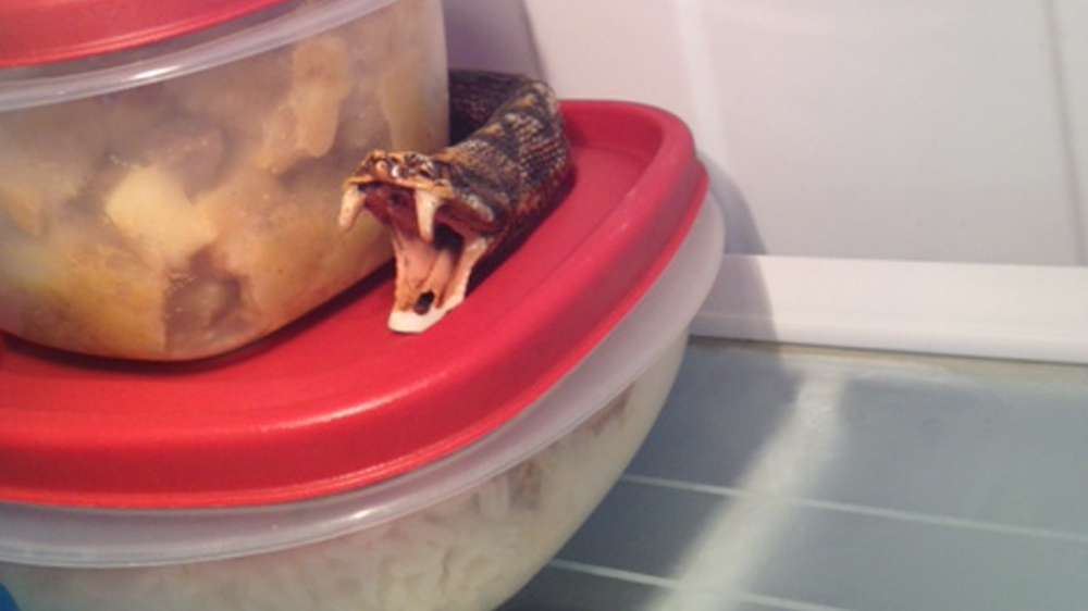 All Things Considered for April 2, 2014 : NPR