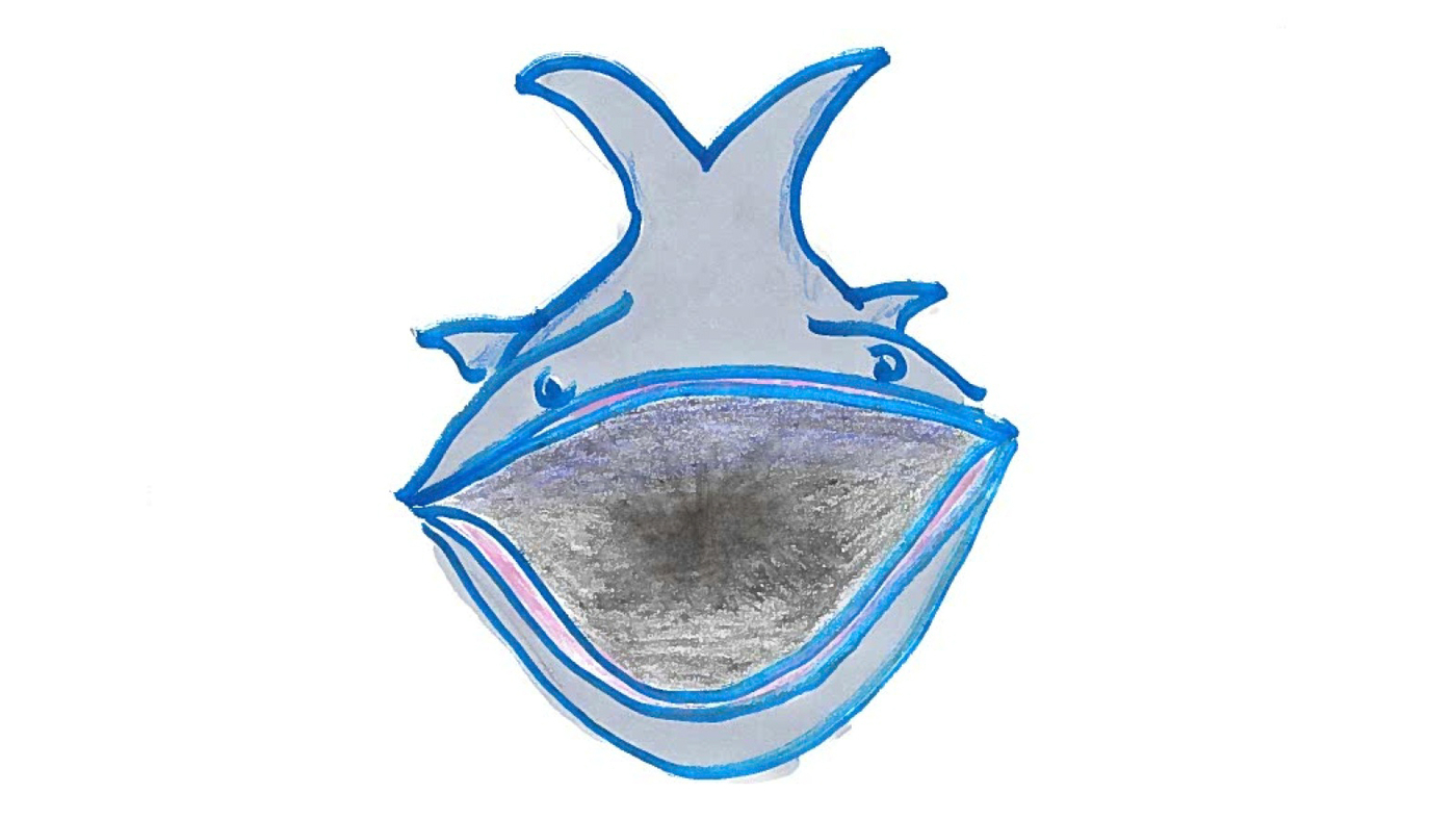 The Power Of Poop: A Whale Story : Krulwich Wonders... : NPR