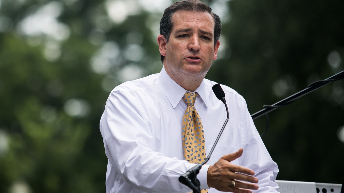 Book News: Ted Cruz's Book Advance Said To Eclipse Sarah Palin's : The ...