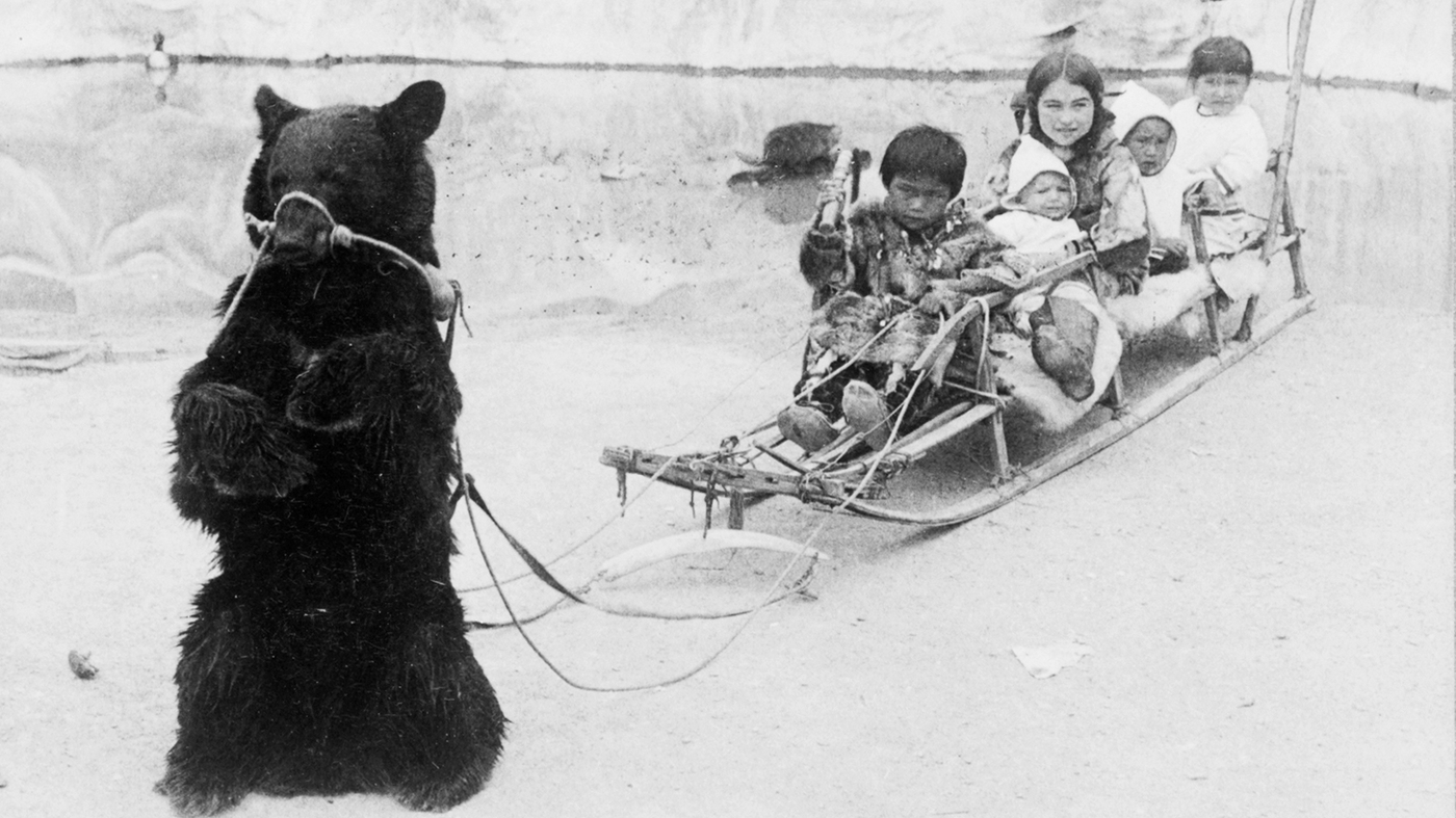 Artists Bring Back The Human Zoo To Teach A Lesson In History : Code ...