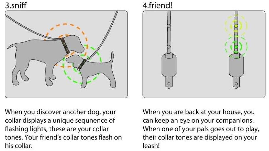 To Know Thyself, Collect Data On Your Dog : All Tech Considered : NPR