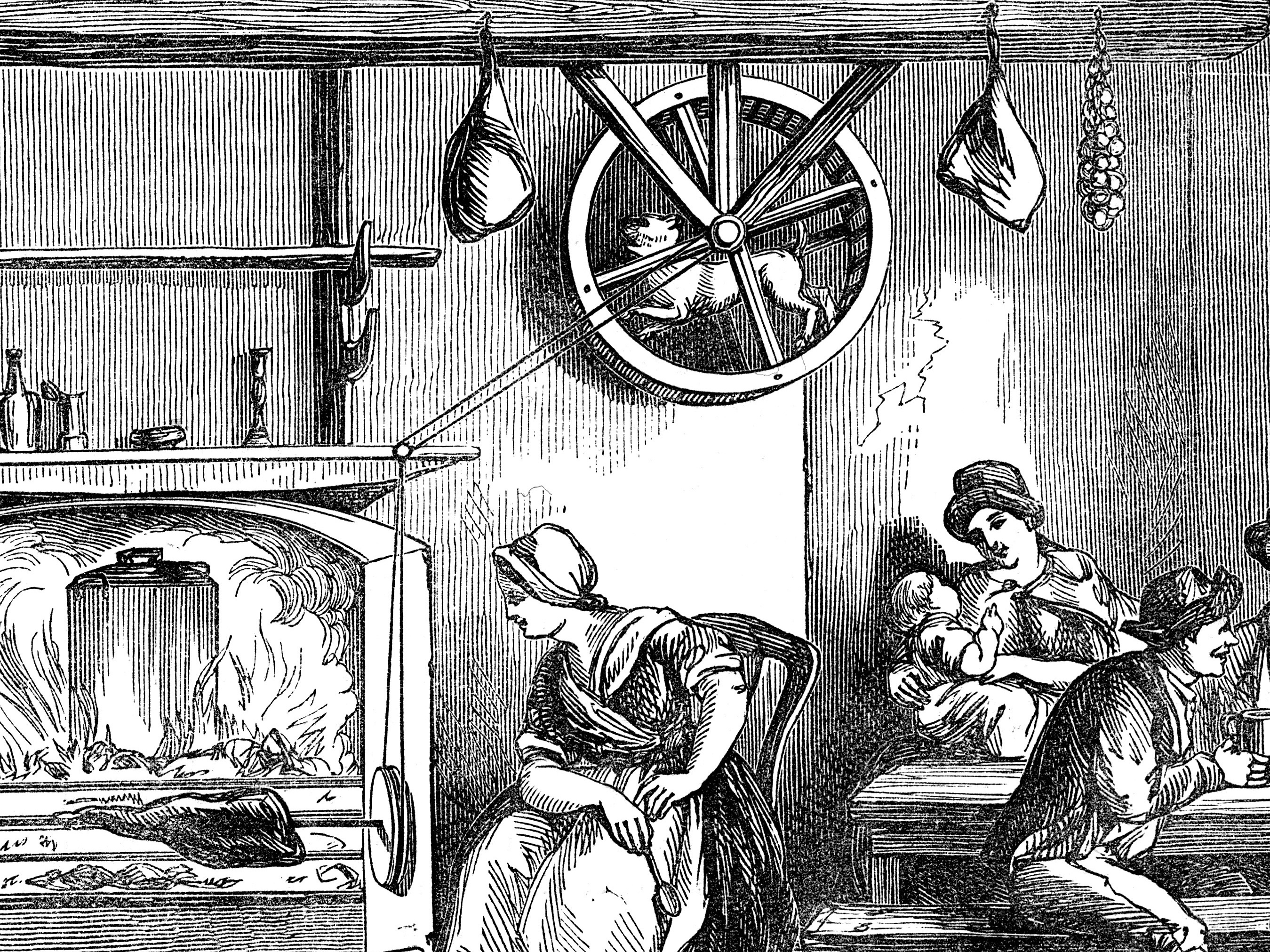 Turnspit Dogs: The Rise And Fall Of The Vernepator Cur | NCPR News