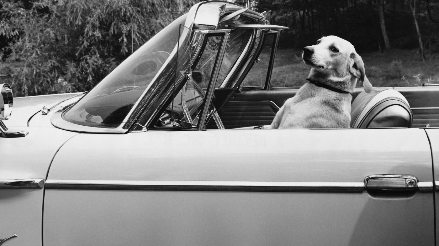 Your Go-To Windows-Down Songs : All Songs Considered : NPR