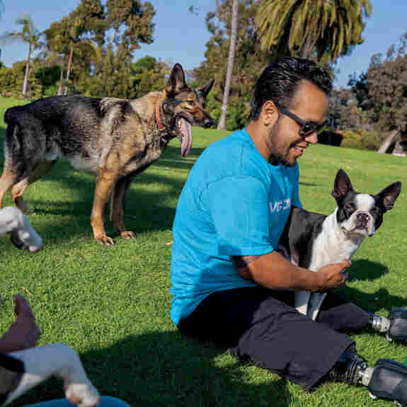From Fire Hydrants To Rescue Work, Dogs Perceive The World Through ...