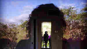 Photography And Memory : NPR