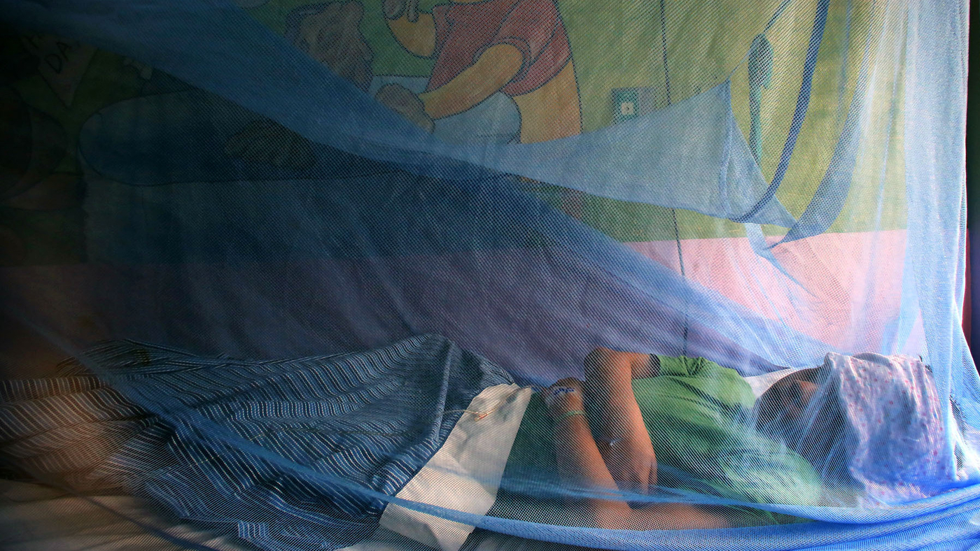 Dengue Fever 101: How Serious Is This Disease? : Shots - Health News : NPR