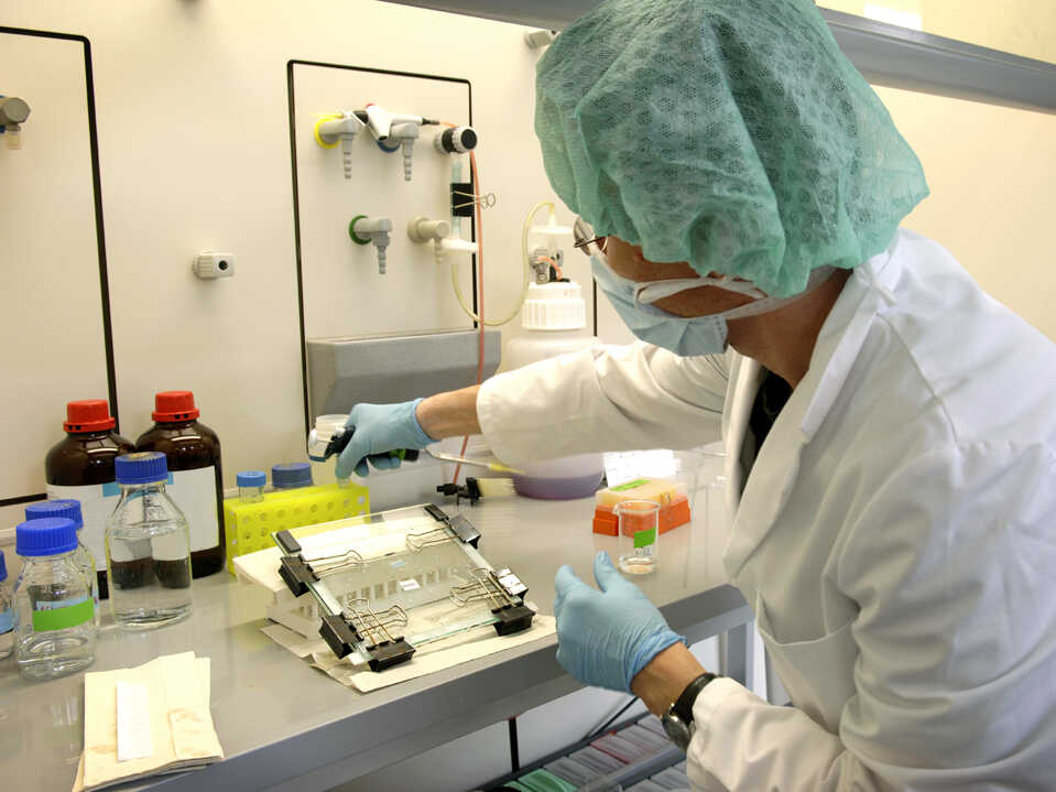 Once A Year, Cancer Research News Comes In A Flood, Not A Trickle ...