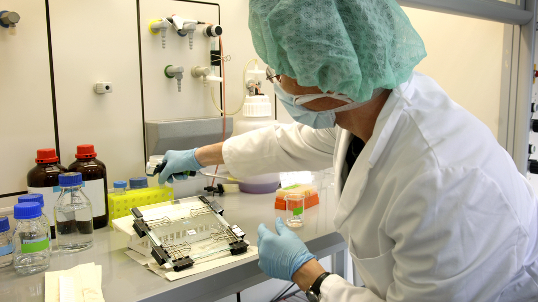 Once A Year, Cancer Research News Comes In A Flood, Not A Trickle ...