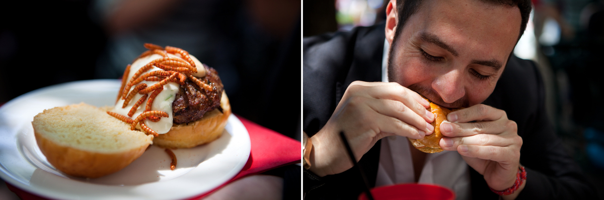 At 'Pestaurant,' Grasshopper Burgers Win Over Eaters Who Say 'Yuck ...