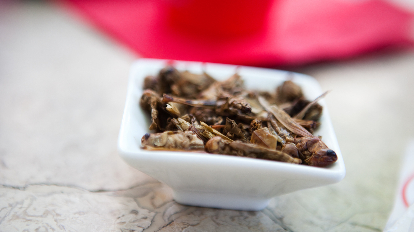 At 'Pestaurant,' Grasshopper Burgers Win Over Eaters Who Say 'Yuck ...